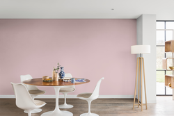Powder Pink | Dulux