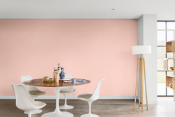 Pink Chablis 30YR 68/127 Wall Paint - Orange Colour Palette for House ...