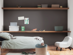 Damson Dusk - Warm Neutral - Find products in this colour | Dulux