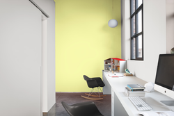 Lime Zest 4 - Lime - Find products in this colour | Dulux