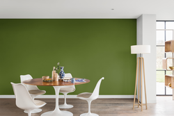 Calypso Green 10GY 21/375 - Lime - Find products in this colour | Dulux