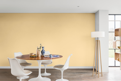 Sun Dust 5 - Yellow - Find products in this colour | Dulux