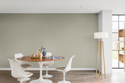 Fossil Trace | Dulux