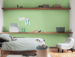 Green Tea 50GY 55/207 Wall Paint - Green Colour Chart for House Paint