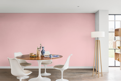 Pink Nevada 5 | Dulux