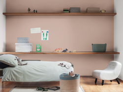 Fallen Burr - Warm Neutral - Find products in this colour | Dulux