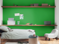 Ogre Green 77GY 33/506 Wall Paint - Green Colour Palette for House ...