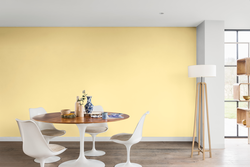 Sweet Buttercup - Yellow - Temukan produk dengan warna ini | Dulux