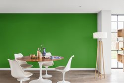 Irish Green - Green - Temukan produk dengan warna ini | Dulux