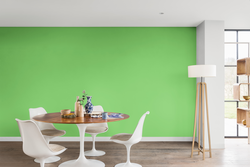 Leap Frog - Green - Find products in this colour | Dulux