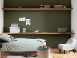 Wild Cactus - Green - Find products in this colour | Dulux