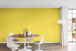 Zesty Home Paint Colour- Lime Colour Palette for Wall | Dulux Sri Lanka