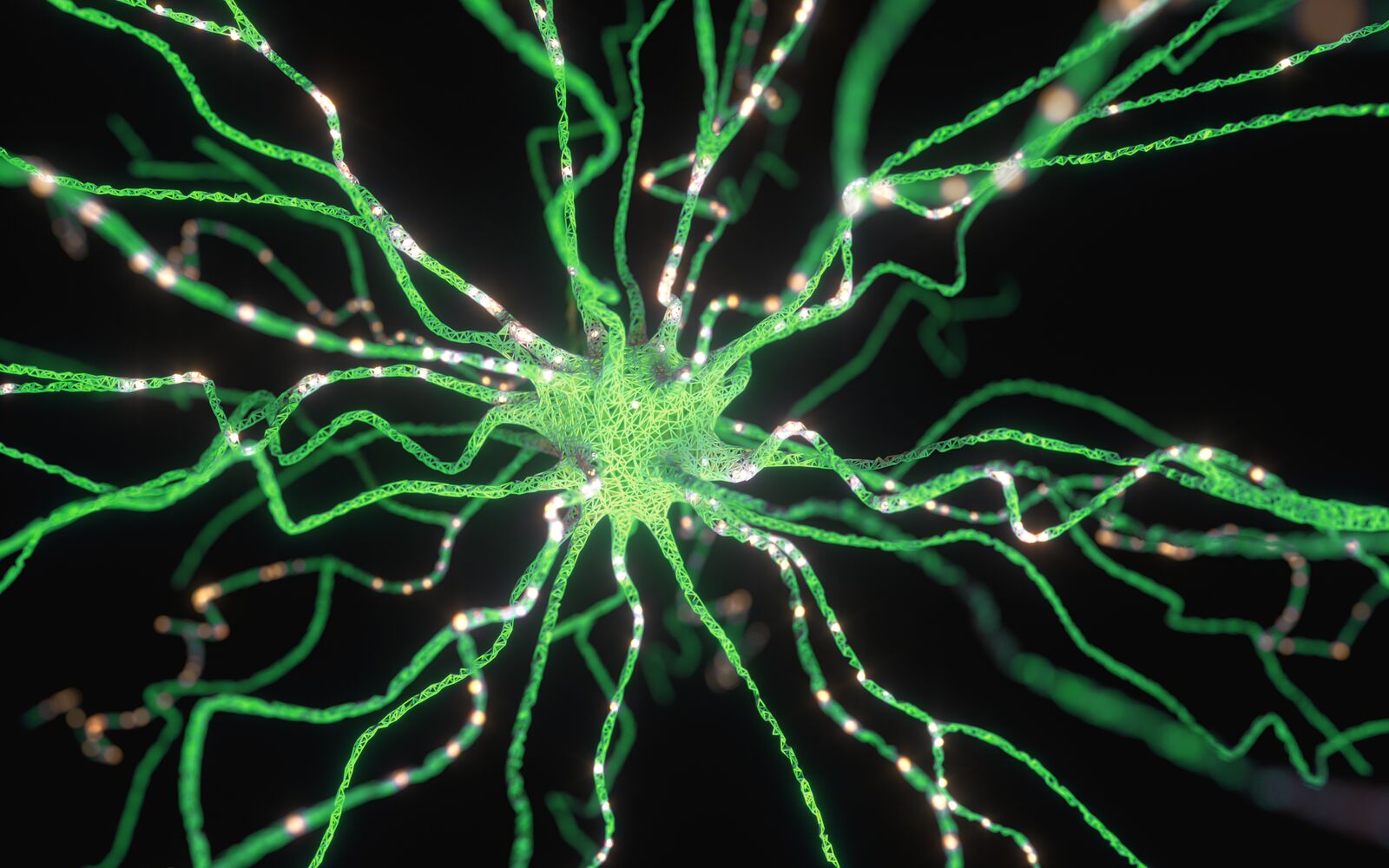 Frontiers in Neurorobotics