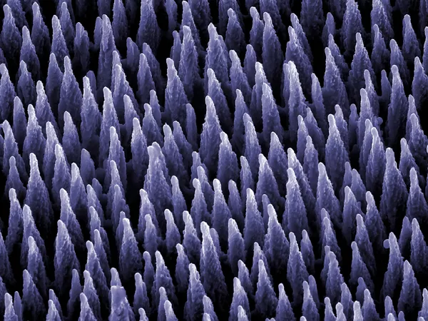 Frontiers | Computational and Experimental Insights into Electro- and ...