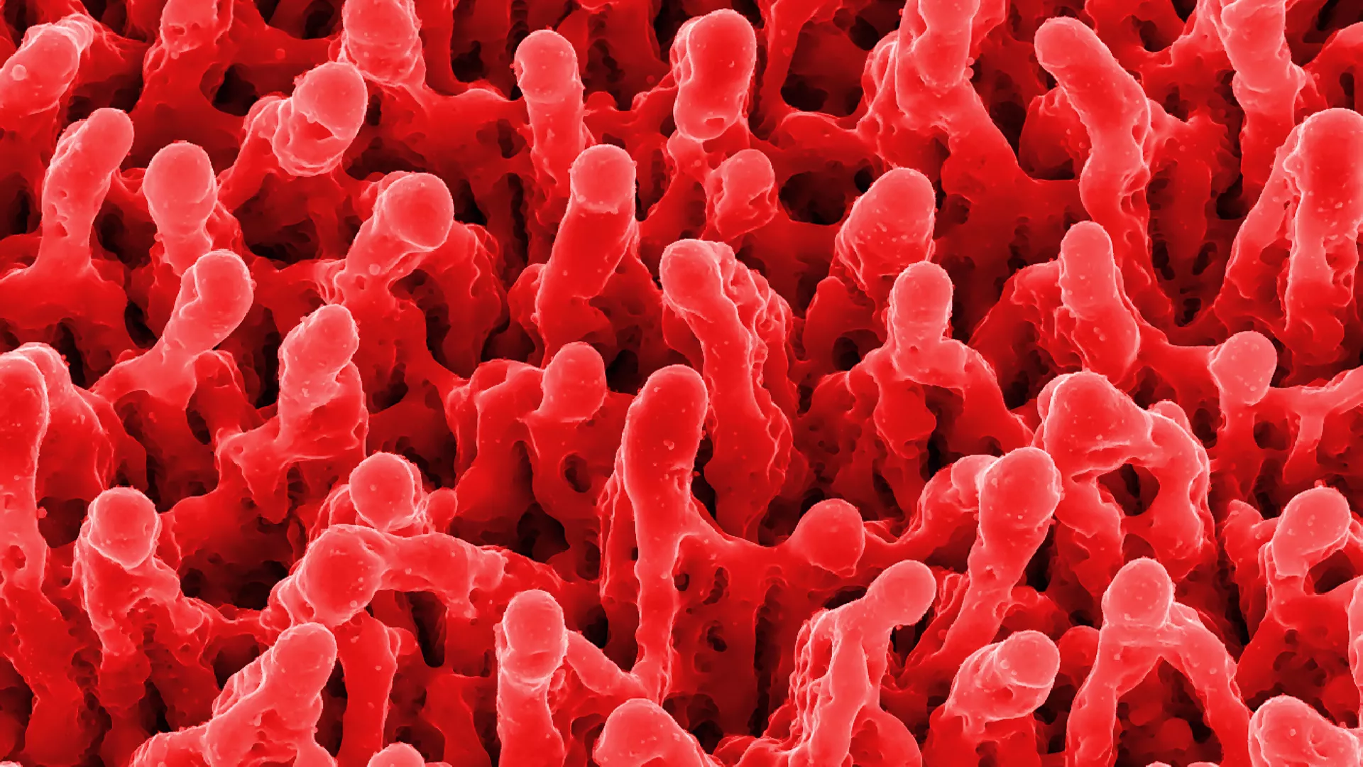 Frontiers in Coatings, Dyes and Interface Engineering | Dyes and Pigments