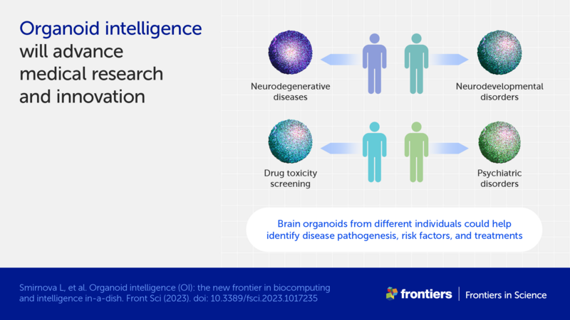 Organoid intelligence: a new biocomputing frontier