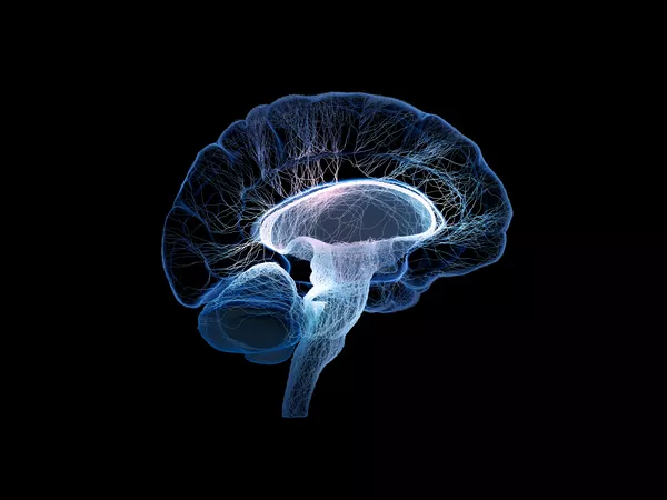 Frontiers | Applications of Intelligent Sensing and Biomedical ...