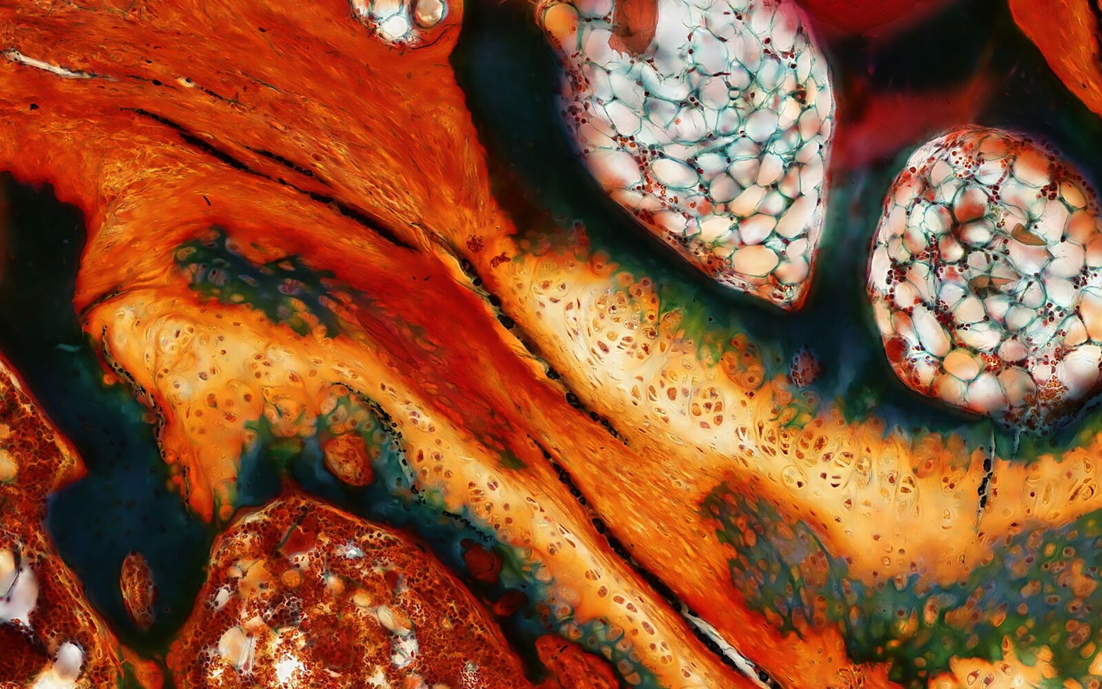 Frontiers in Biomaterials Science