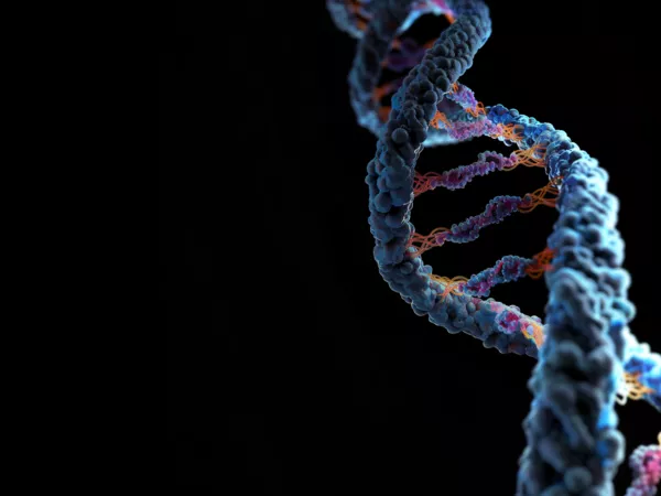 Frontiers in Science