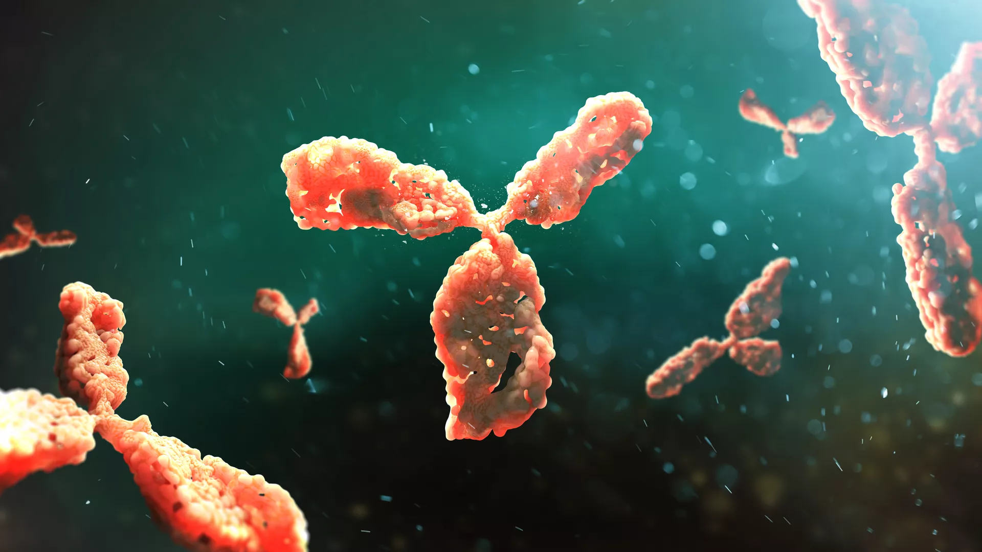 Frontiers | Rheumatic autoimmune disease in relation to post-traumatic ...