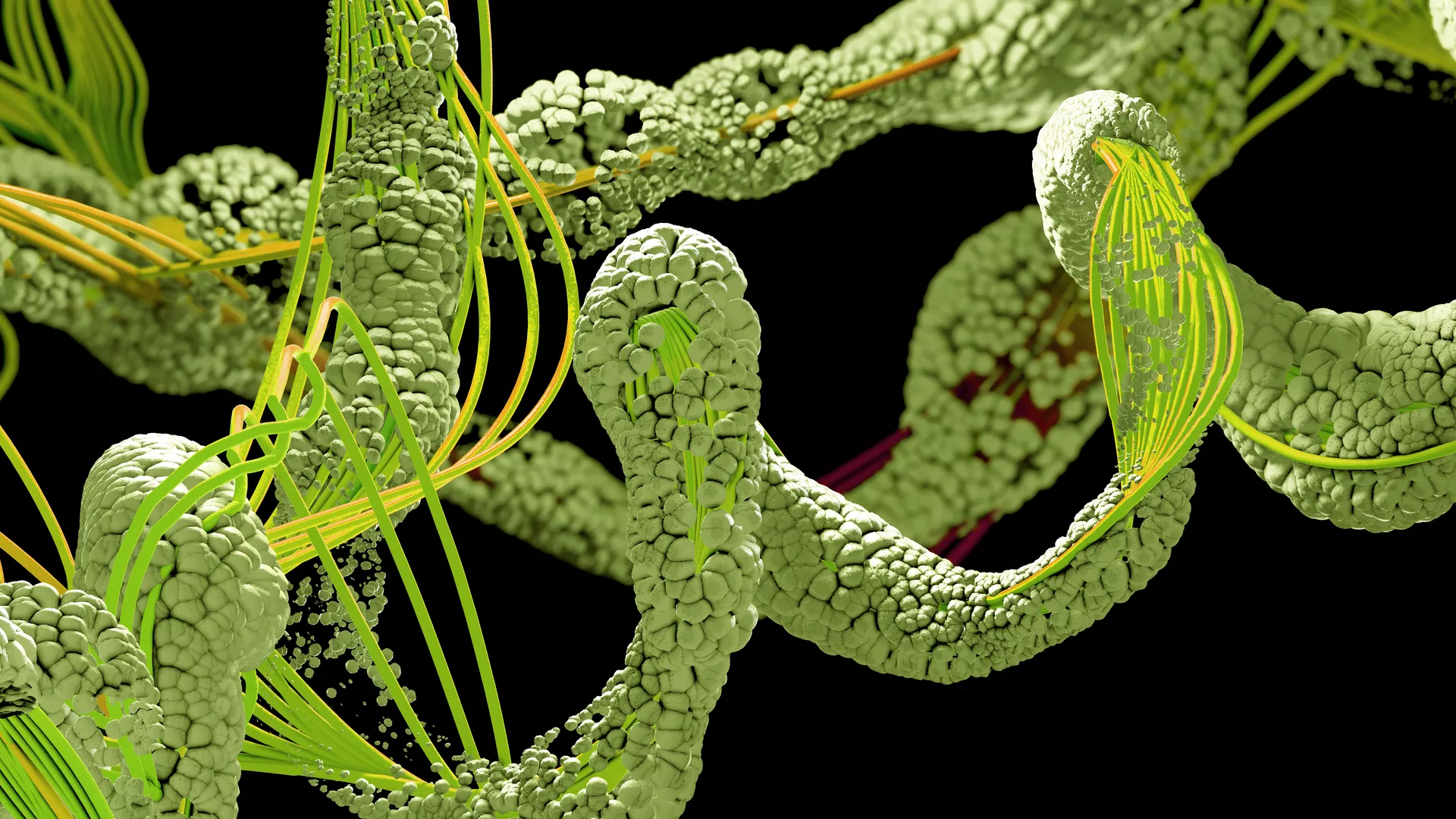 Frontiers in Natural Products | Articles