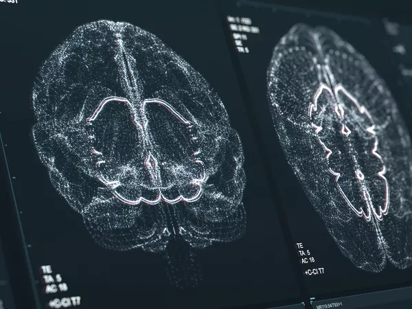 Frontiers | Neuroinformatics and Intelligent Systems for the Study and ...