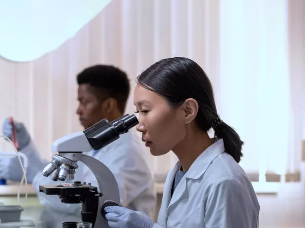 Frontiers | Horizons in Multifunctional Biomaterials: From Infection ...