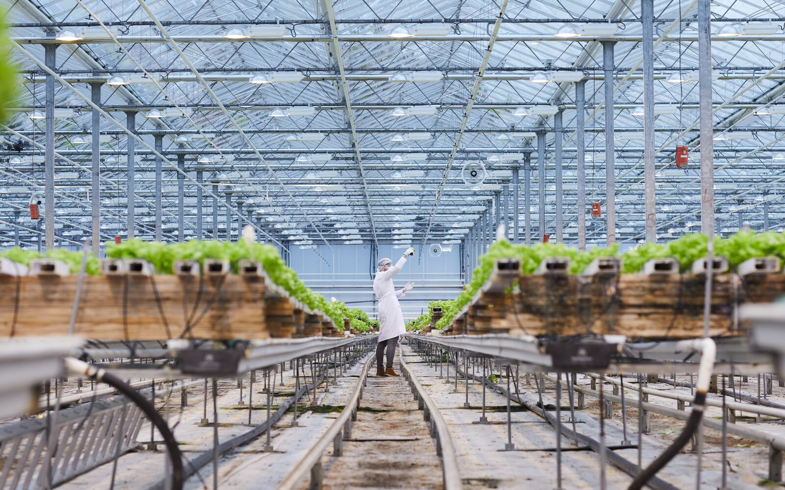 Frontiers in Horticulture