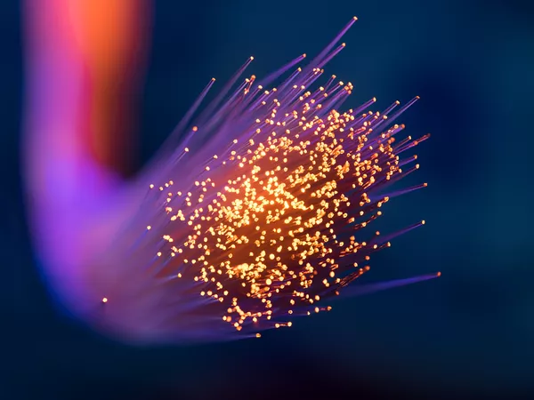 Frontiers | Advances in Optical Methods for Biological Sample ...